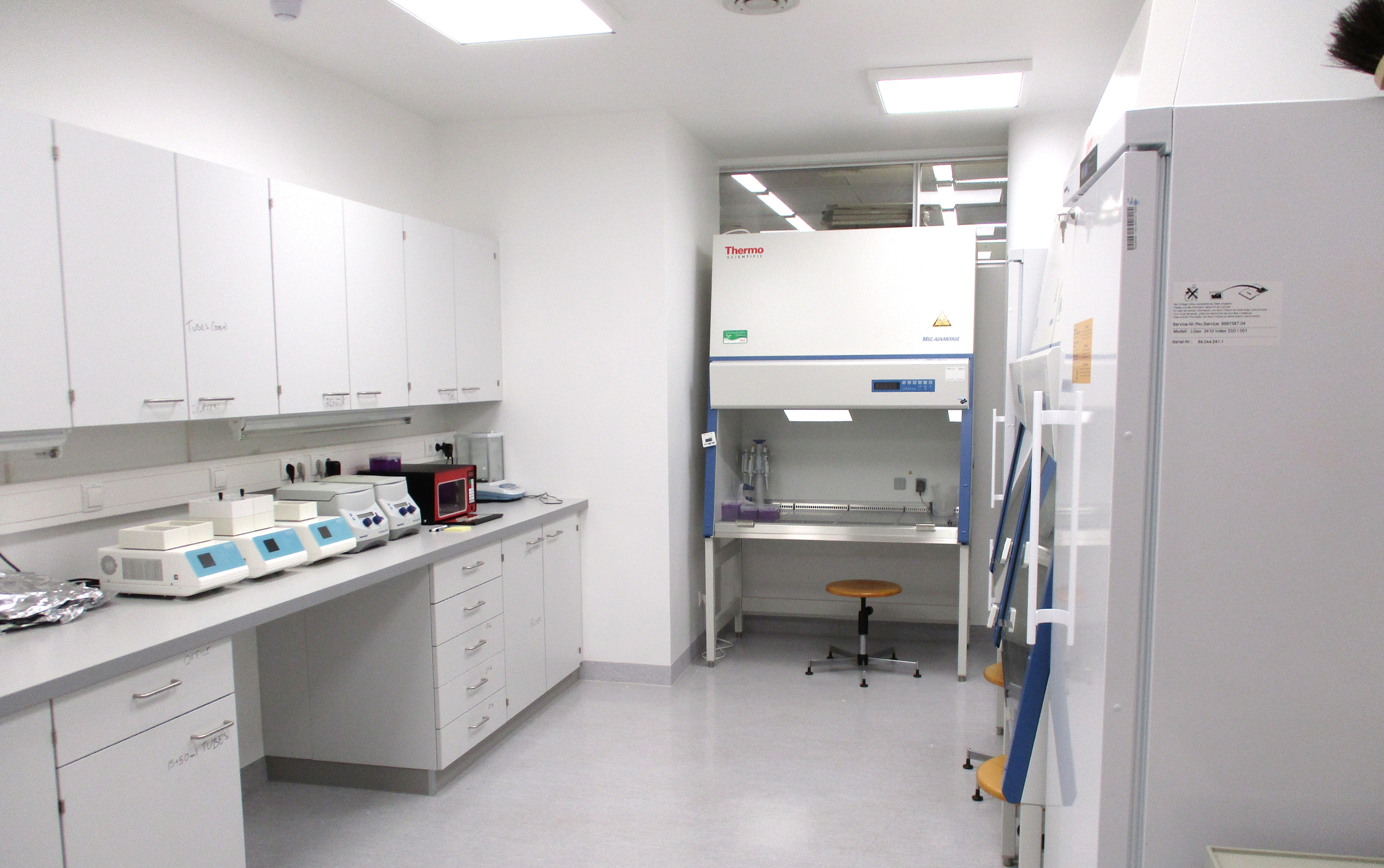 Ancient DNA Genomics and Biological Anthropology