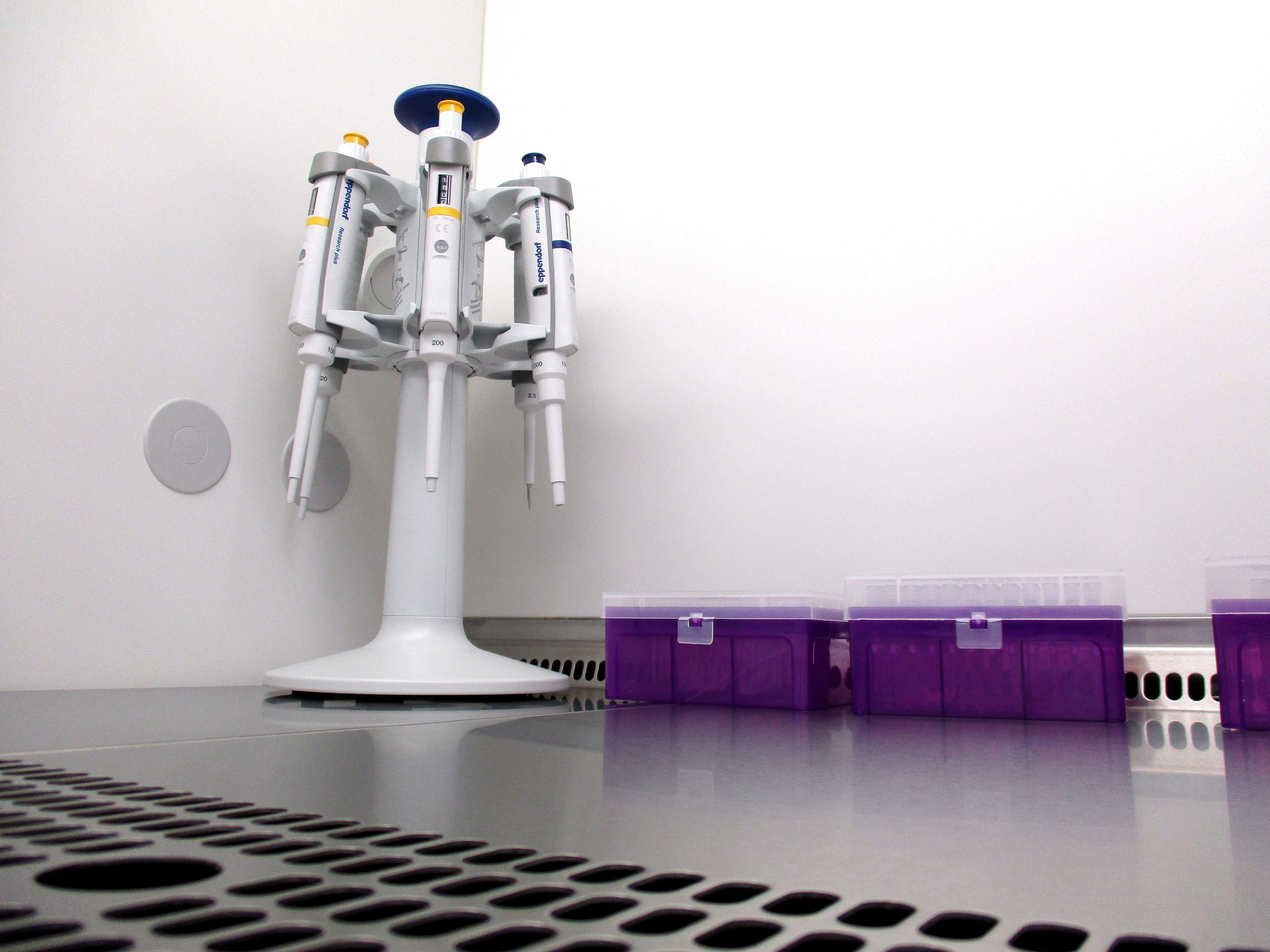 Ancient DNA Genomics and Biological Anthropology