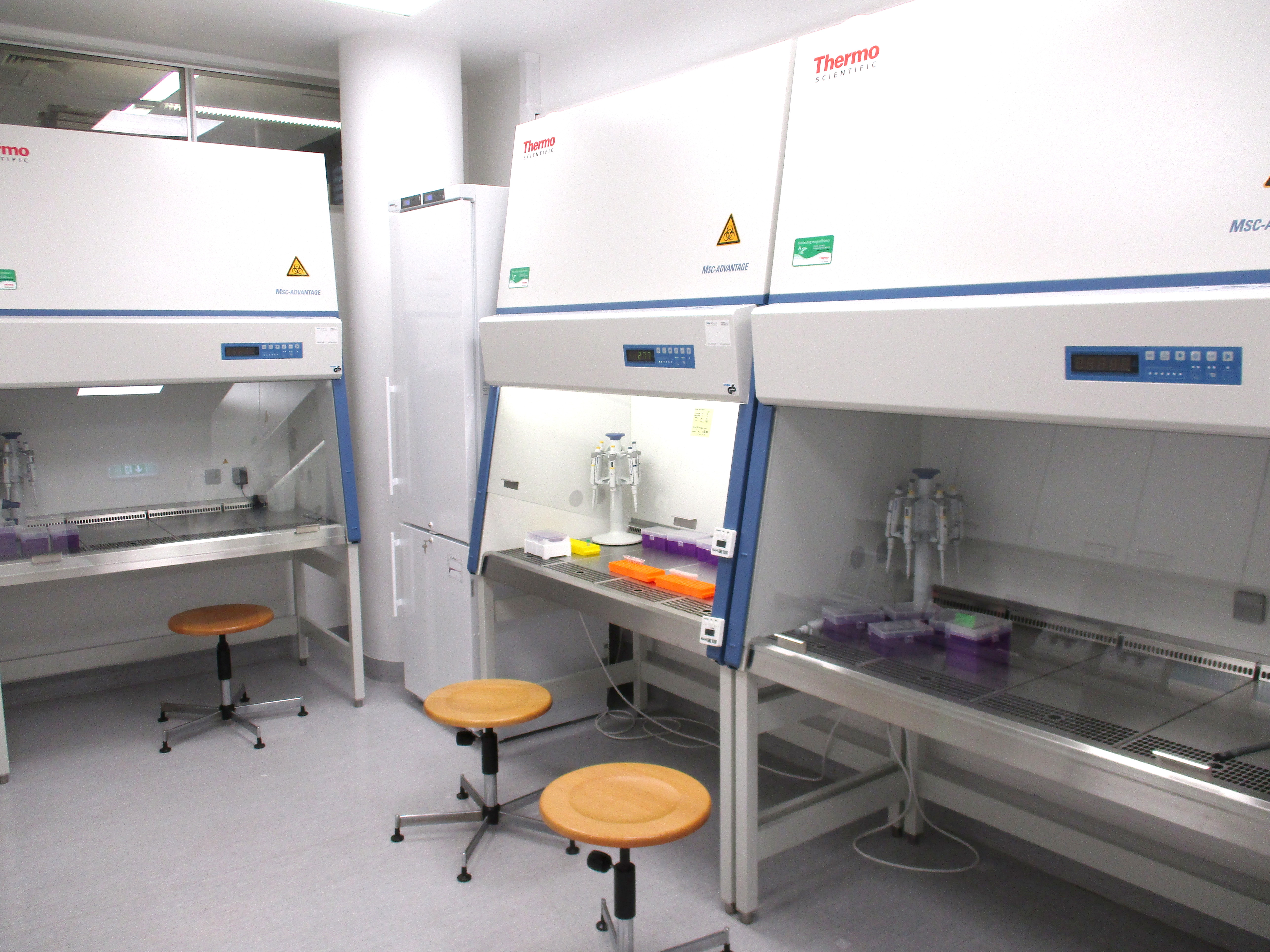 Ancient DNA Genomics and Biological Anthropology